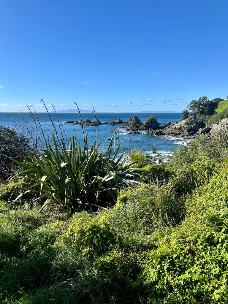 Tiritiri Matangi, a night on Auckland’s bird island - Turquoise Port